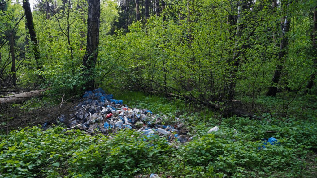 Why Are Our National Parks Getting Trashed? | Global Trash Solutions